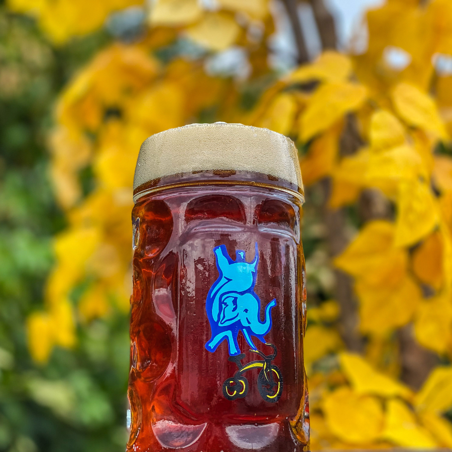 Hidden Gems: Oktoberfest Beers You Need To Try Now - Colorado Brewers Guild