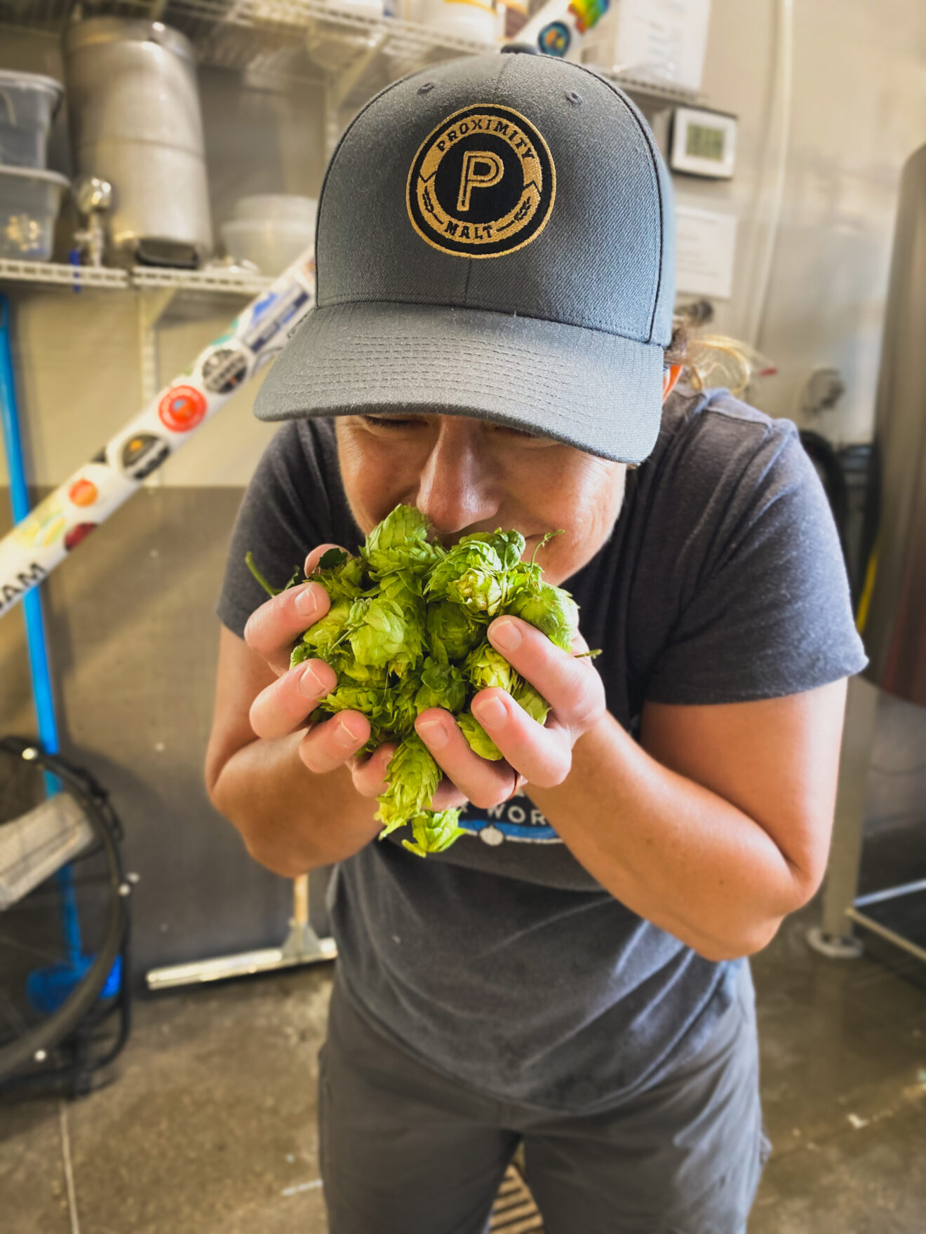 Taste the Harvest: Your Guide to This Year's Fresh Hop Beers - Colorado ...